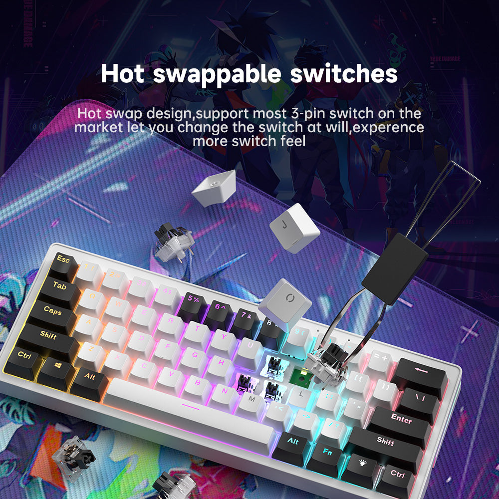 AG61 Gasket Side RGB streamer Mechanical Keyboard – ZIFRIEND Gaming