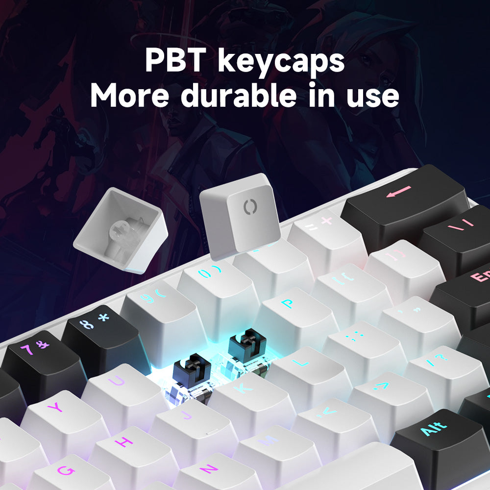 AG61 Gasket Side RGB streamer Mechanical Keyboard – ZIFRIEND Gaming