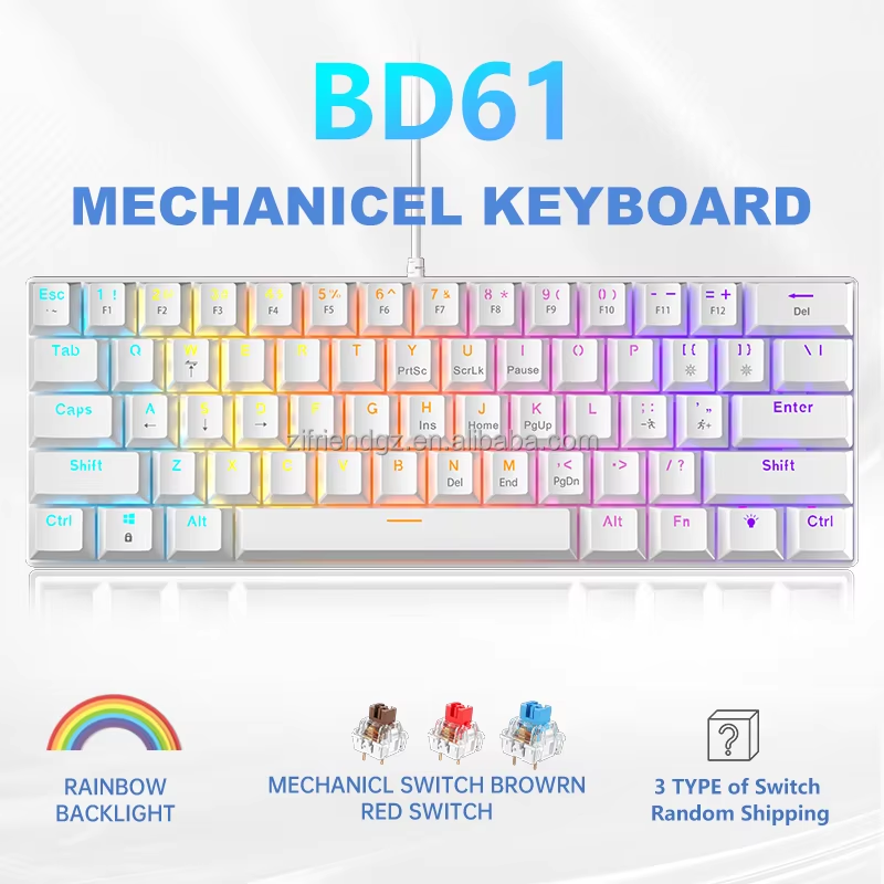 BD61 61 keys Rainbow lighting Swappable Switch Mechanical keyboard ...